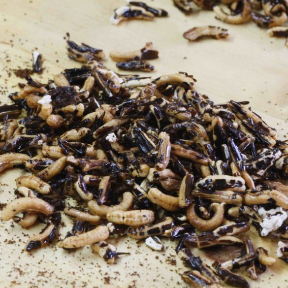 Poutine General Tao | Les Recettes Aromatiques